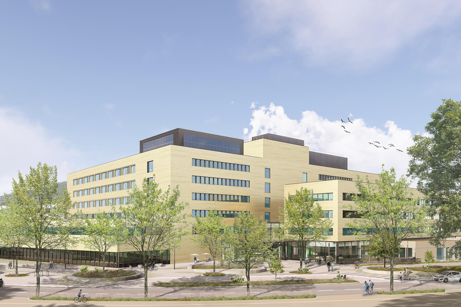 Ersatzneubau Kopfzentrum und Orthopädie Universitätsklinikum Heidelberg - Tiemann-Petri Koch ...